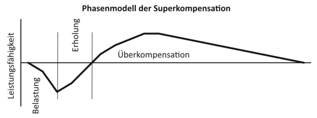 Phasenmodell der Superkompensation - GRUNDKURS BOULDERN